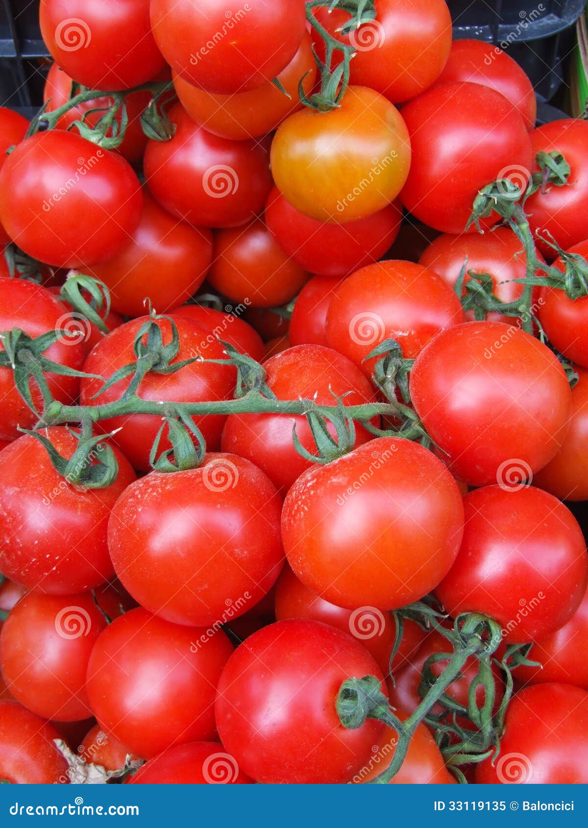 Tomato stock image. Image of vegetable, fruit, tomatoes - 33119135