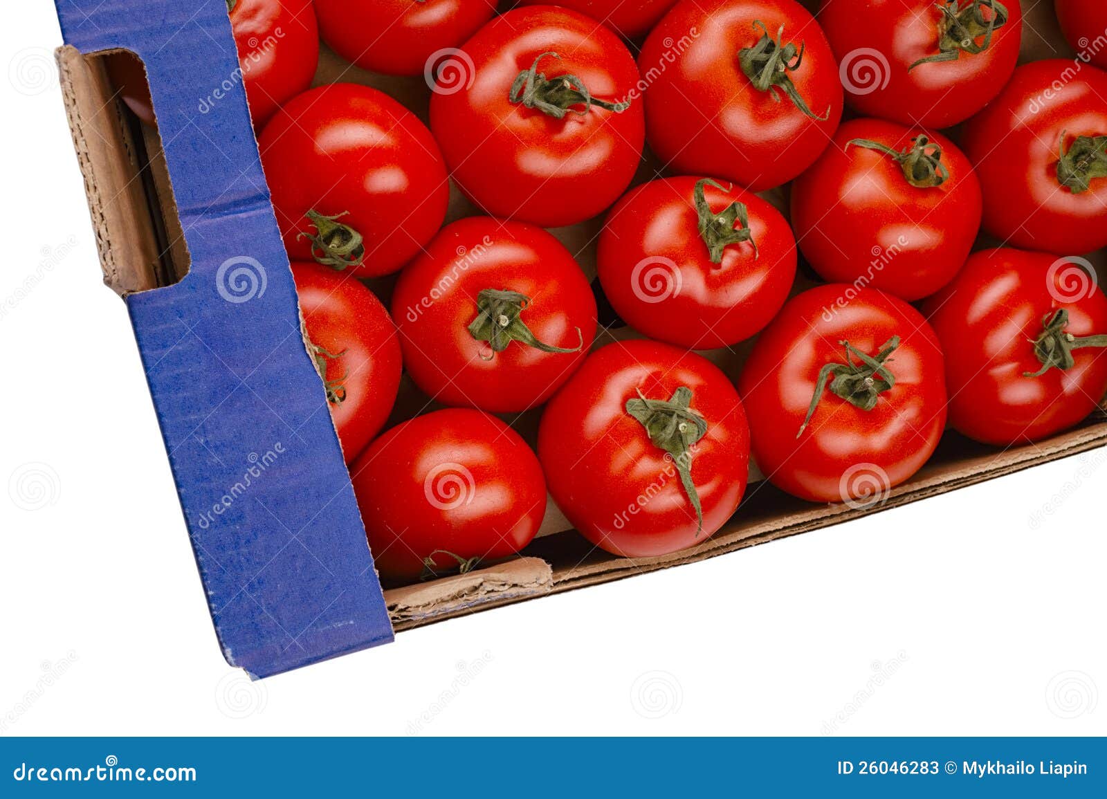 Tomato in a box stock image. Image of nature, isolated - 26046283