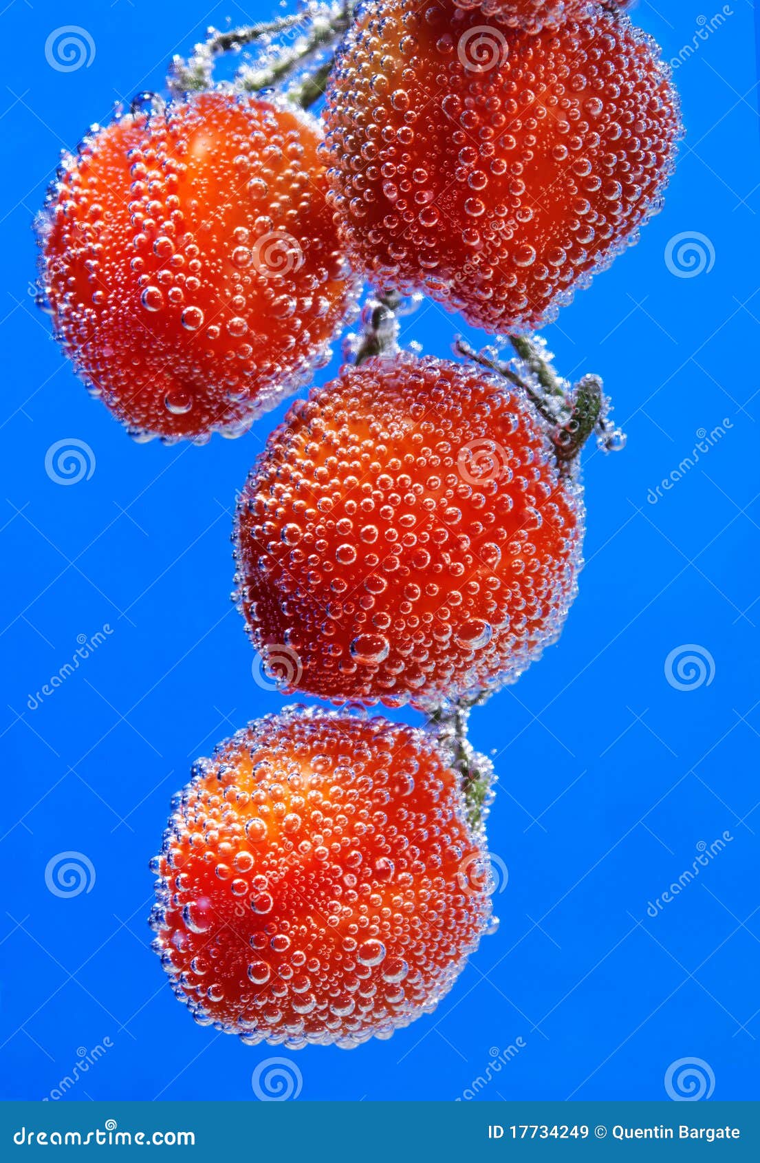 Tomato bubbles on blue stock image. Image of water, bunch - 17734249