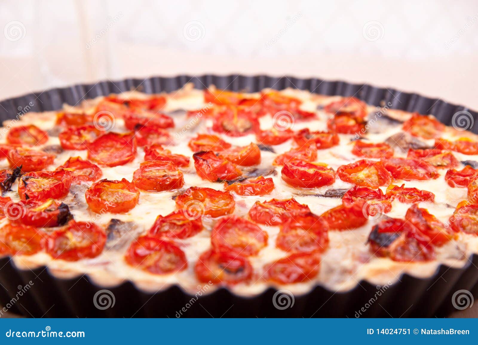 Tomato cake stock image. Image of recipe, tart, savory - 14024751