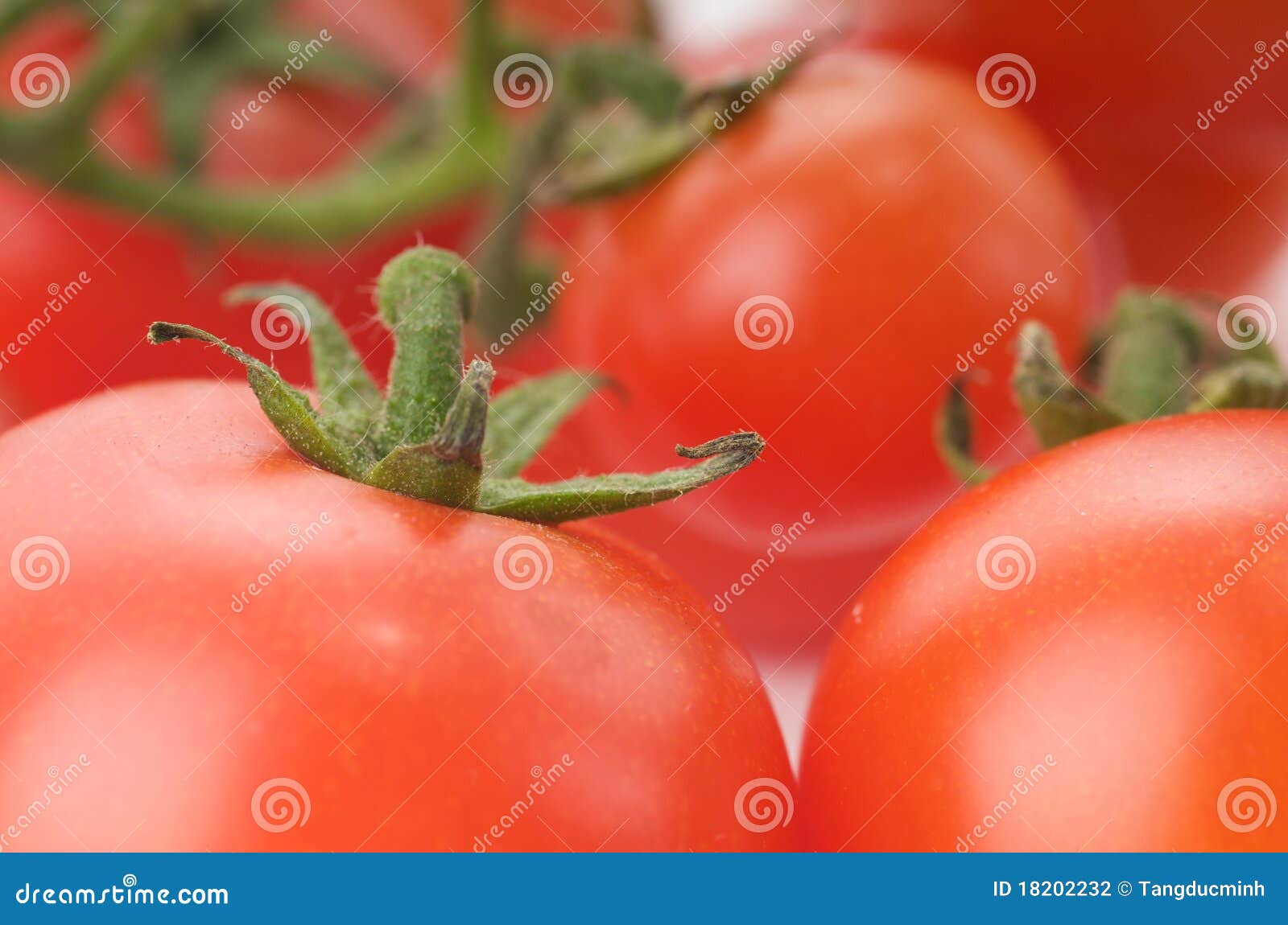 Tomato close up stock photo. Image of branch, eating - 18202232