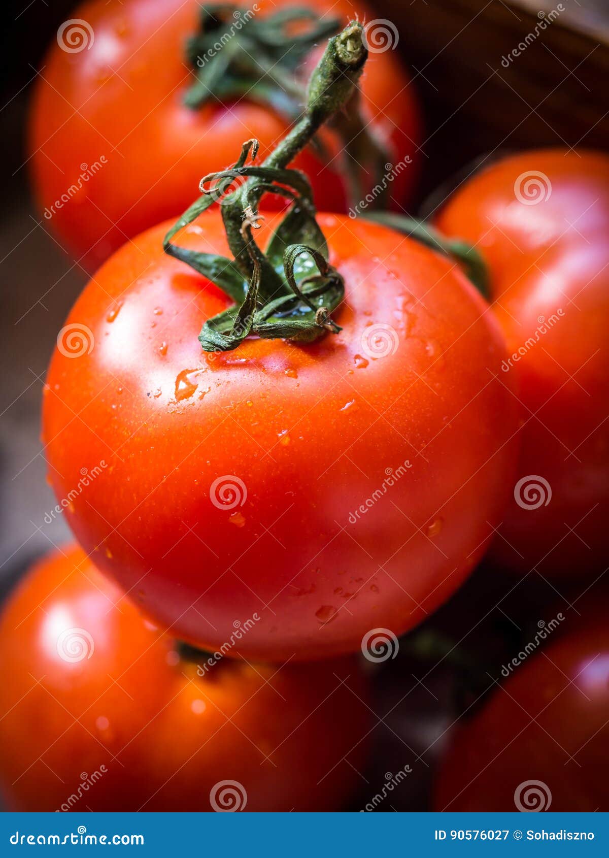 Tomato, close up stock image. Image of diet, vegetable - 90576027