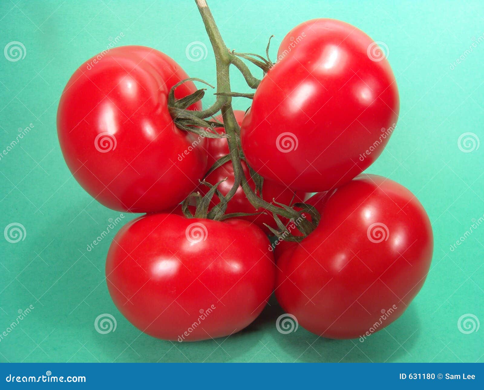 Tomato Cluster stock photo. Image of dieting, nature, meal - 631180