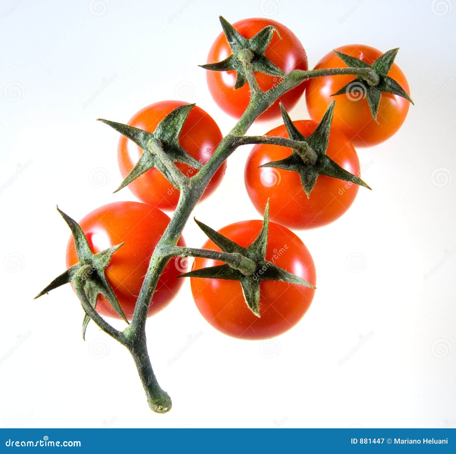 Tomato cluster serie 3 stock image. Image of small, healthy - 881447