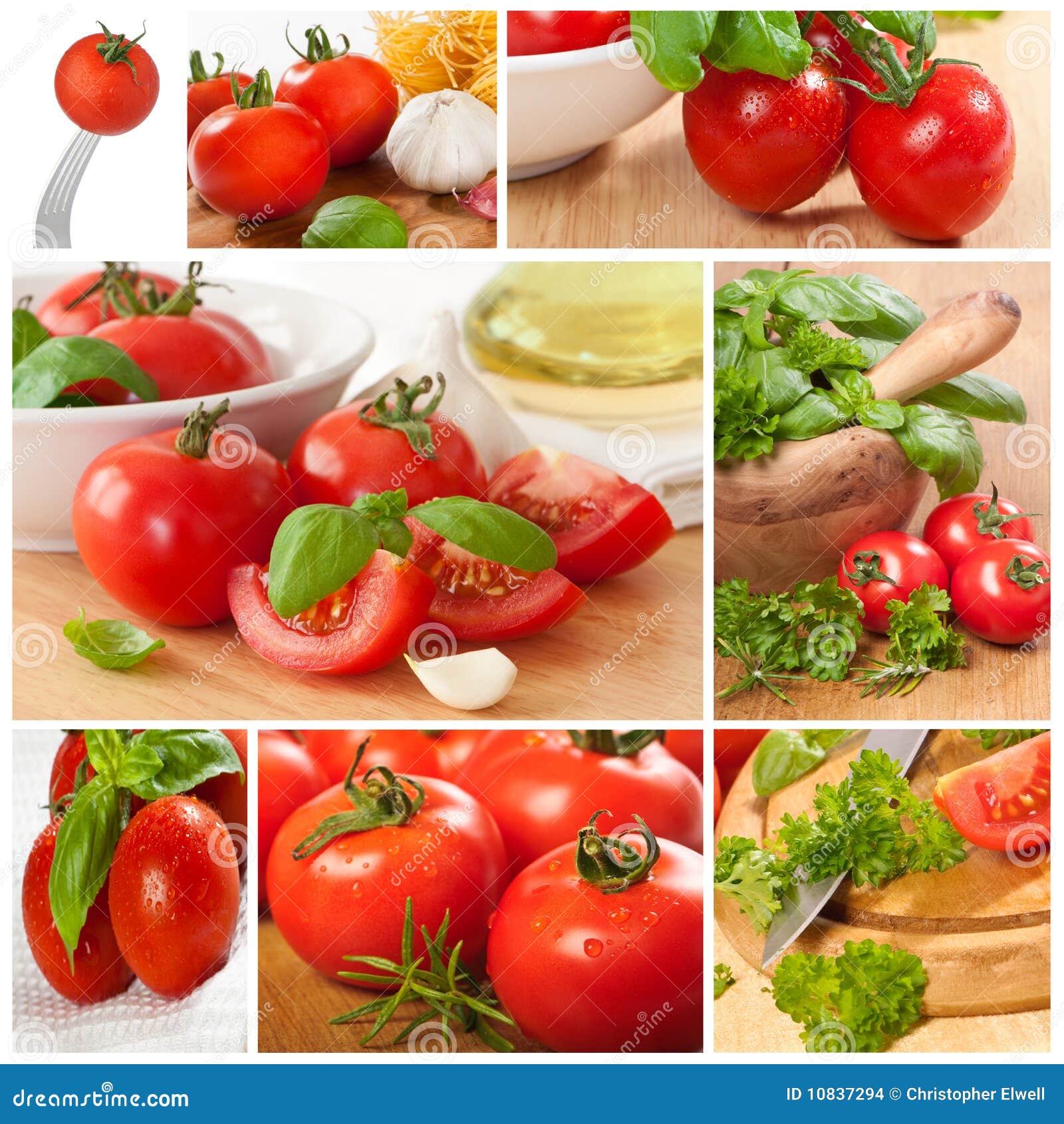 Tomato Collage stock photo. Image of bowl, cloth, bottle - 10837294