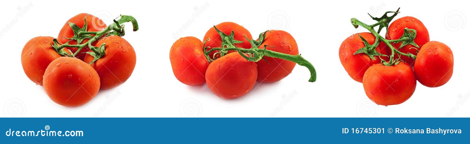 Tomato collage stock image. Image of farm, green, gourmet - 16745301