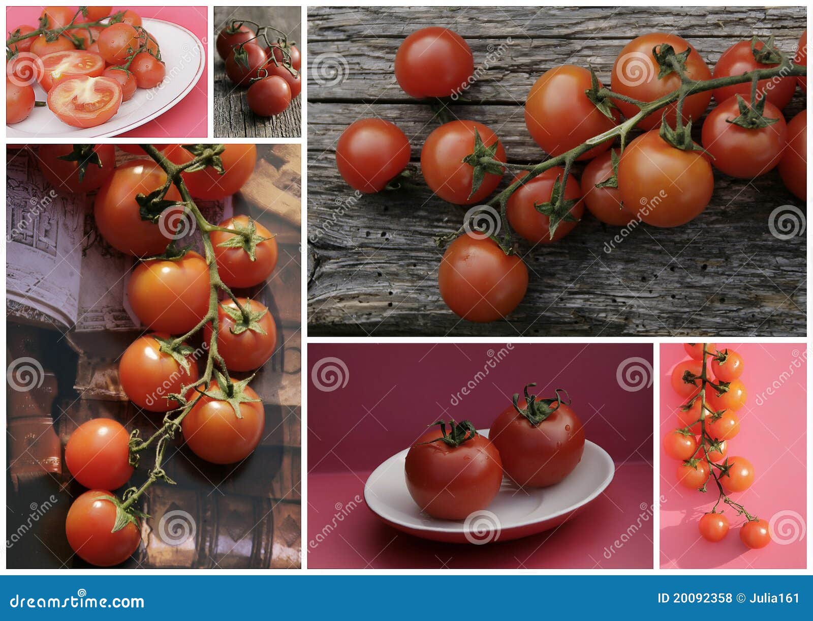 Tomato collage stock photo. Image of tomato, cherry, wood - 20092358