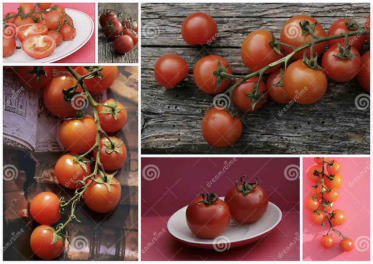 Tomato collage stock photo. Image of tomato, cherry, wood - 20092358