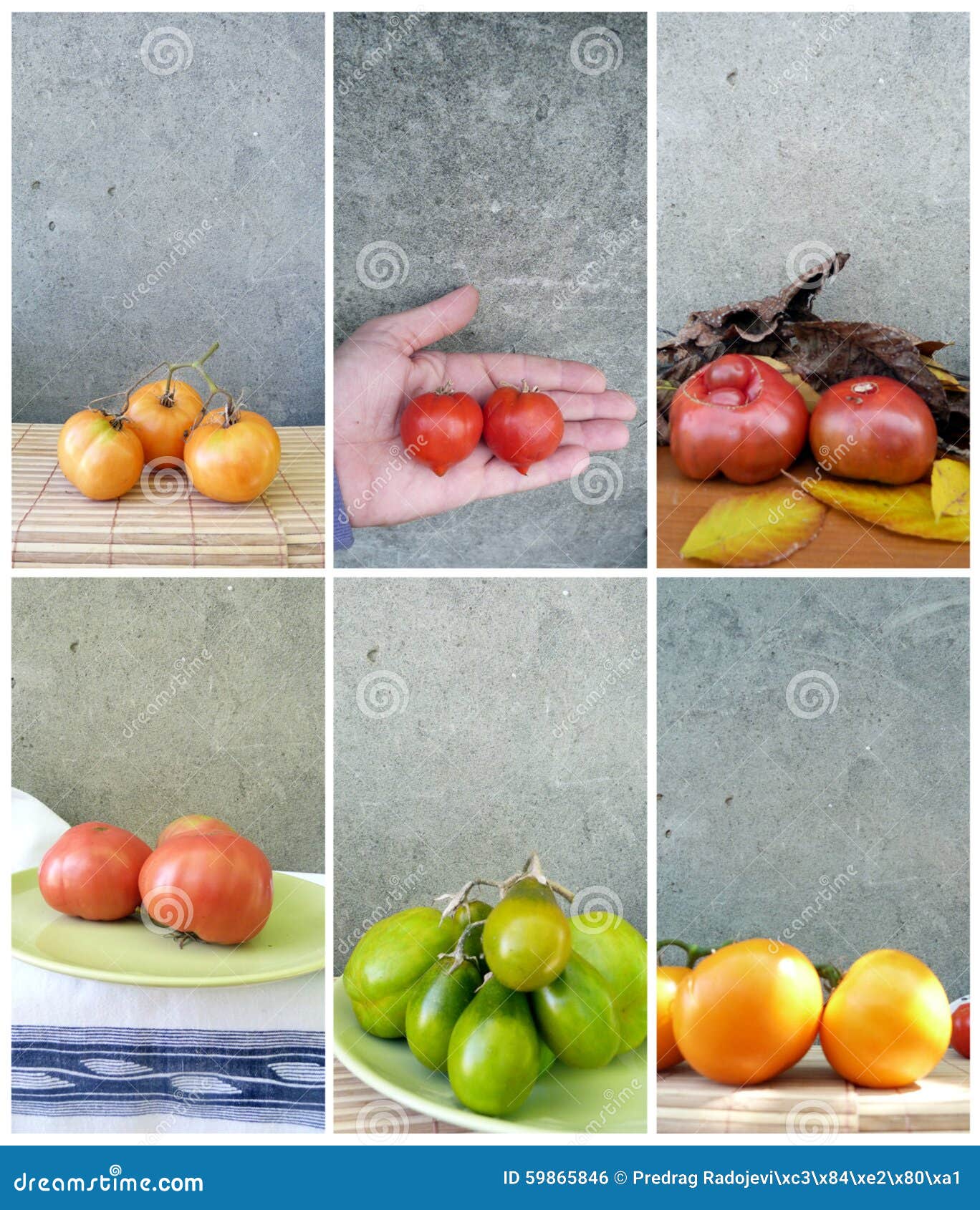 Tomato collage stock photo. Image of organic, vegetables - 59865846