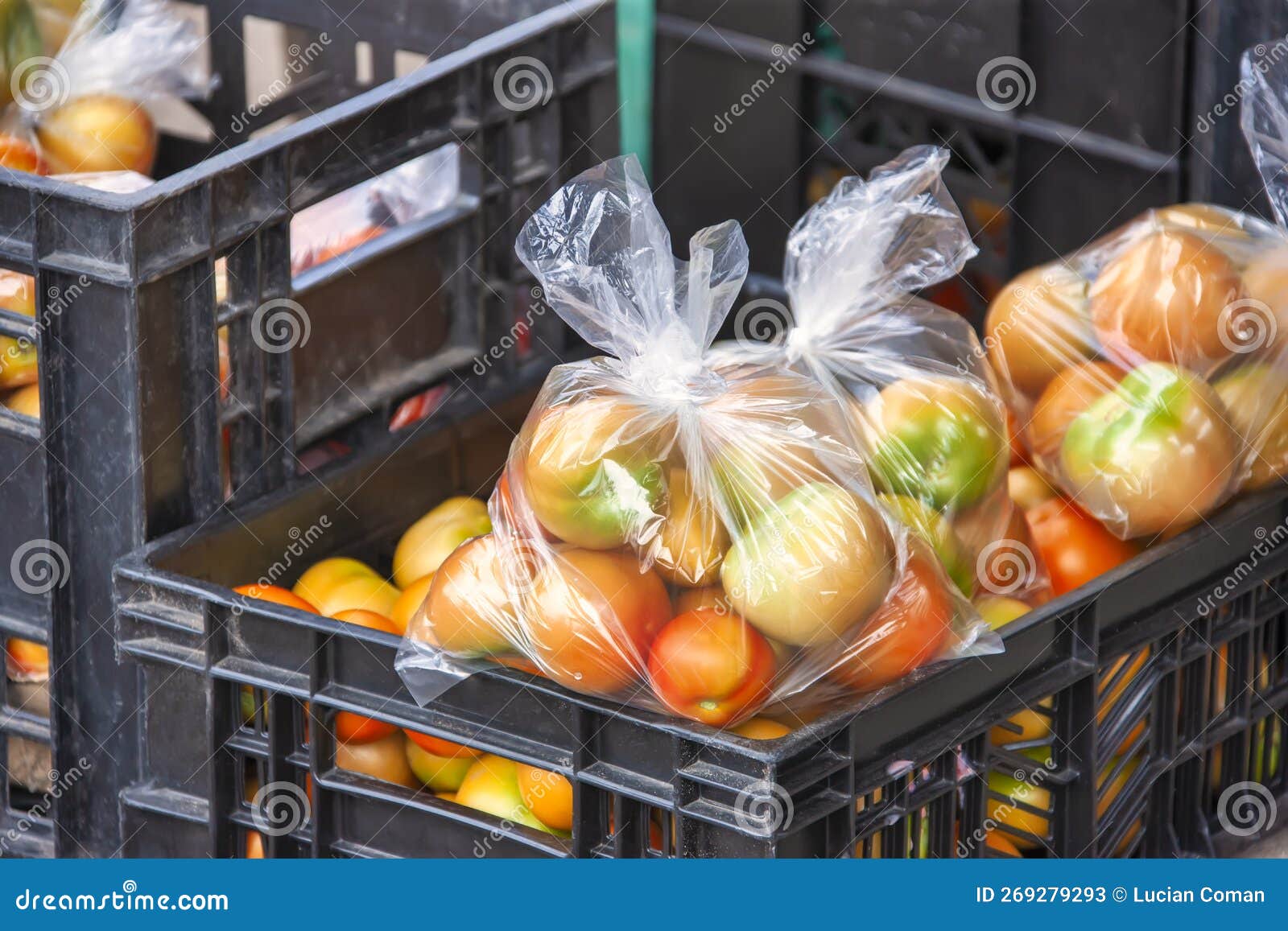 Tomato crates stock image. Image of storage, organic - 269279293