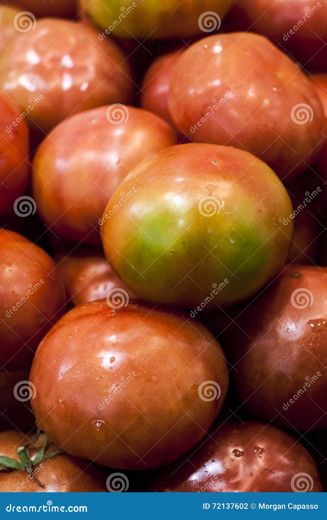 Tomato Display at the Farmers Market Stock Photo - Image of nature ...