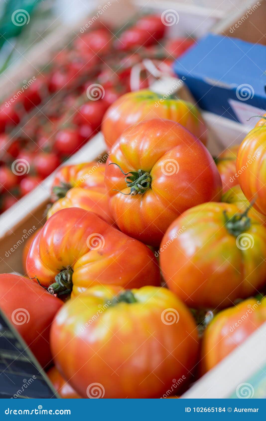 Tomato Display at Supermarket Stock Photo - Image of colourful, stalk ...