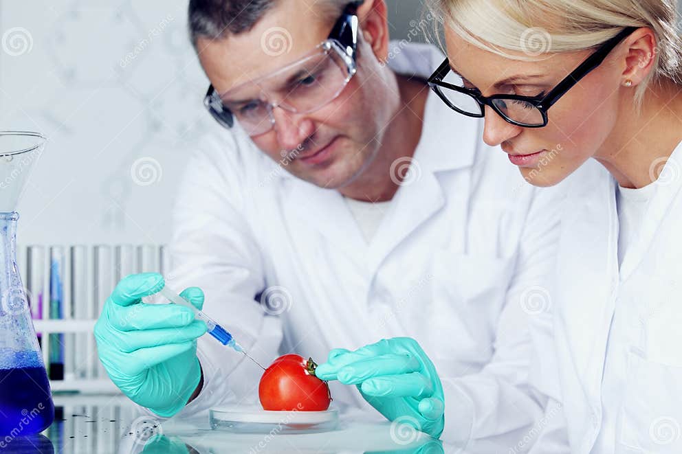 Tomato DNA stock photo. Image of engineering, scientific - 19703034