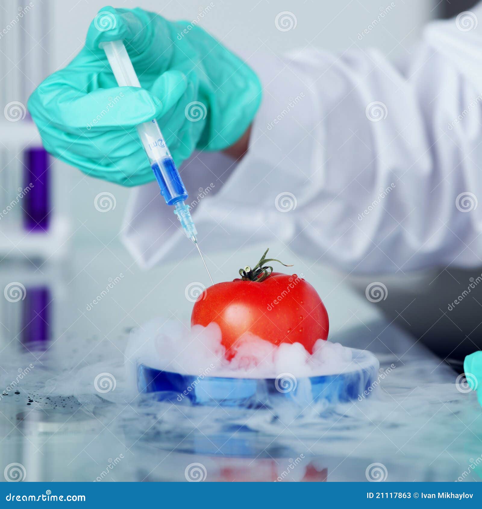 Tomato DNA change stock image. Image of protective, hand - 21117863