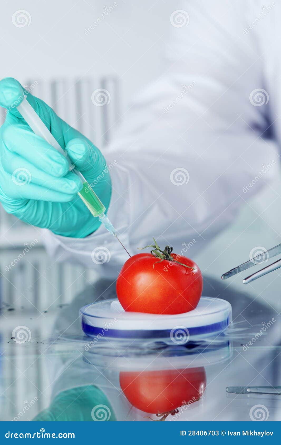 Tomato DNA change stock image. Image of cooking, diet - 28406703