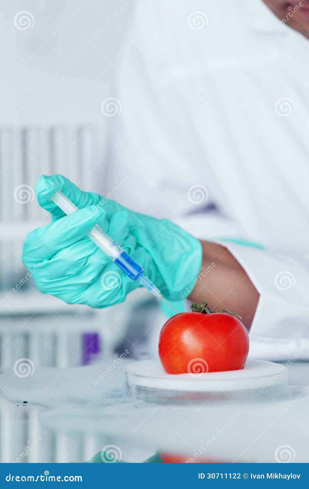 Tomato DNA change stock photo. Image of agriculture, green - 30711122