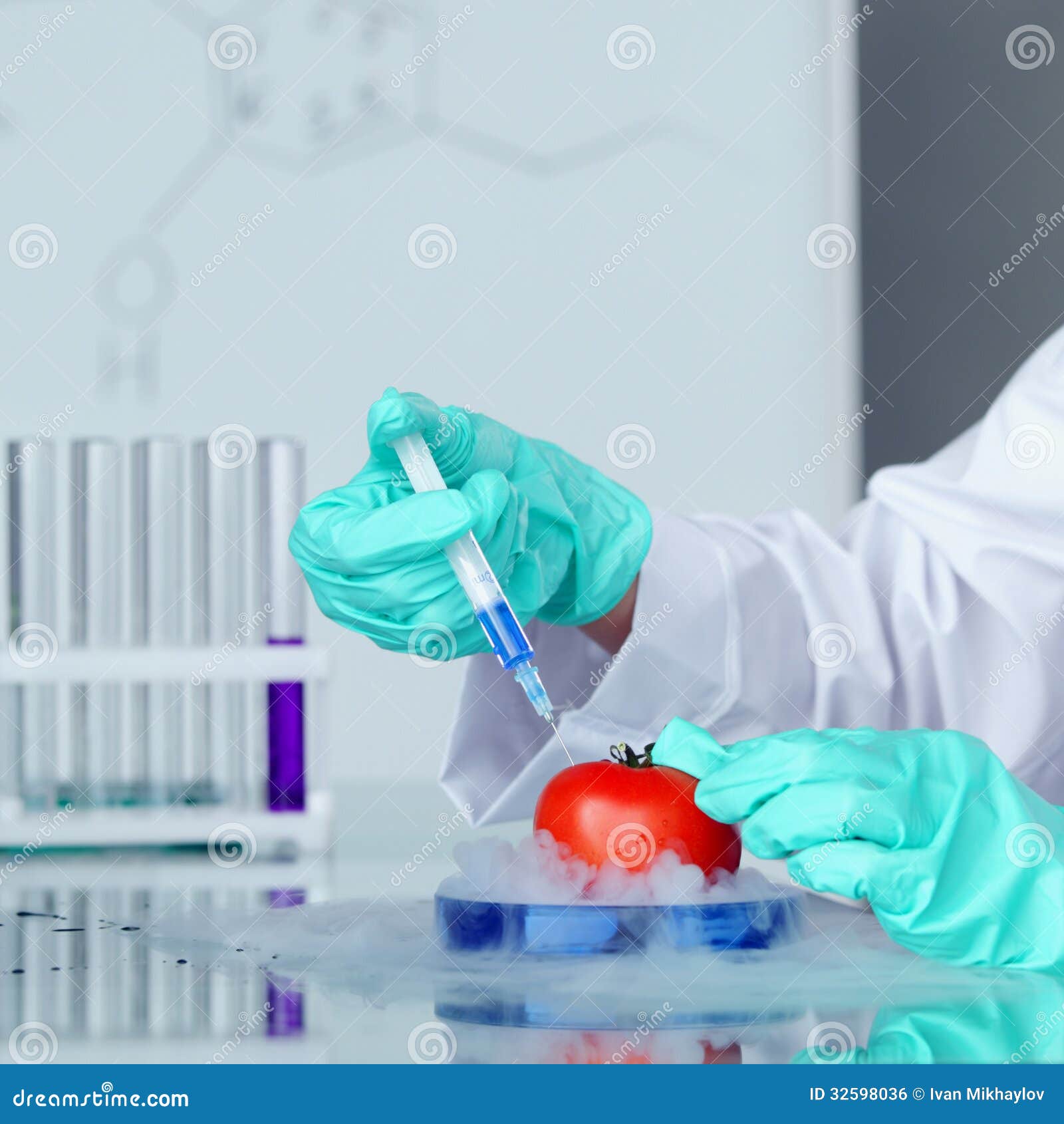 Tomato DNA change stock photo. Image of fruit, garden - 32598036
