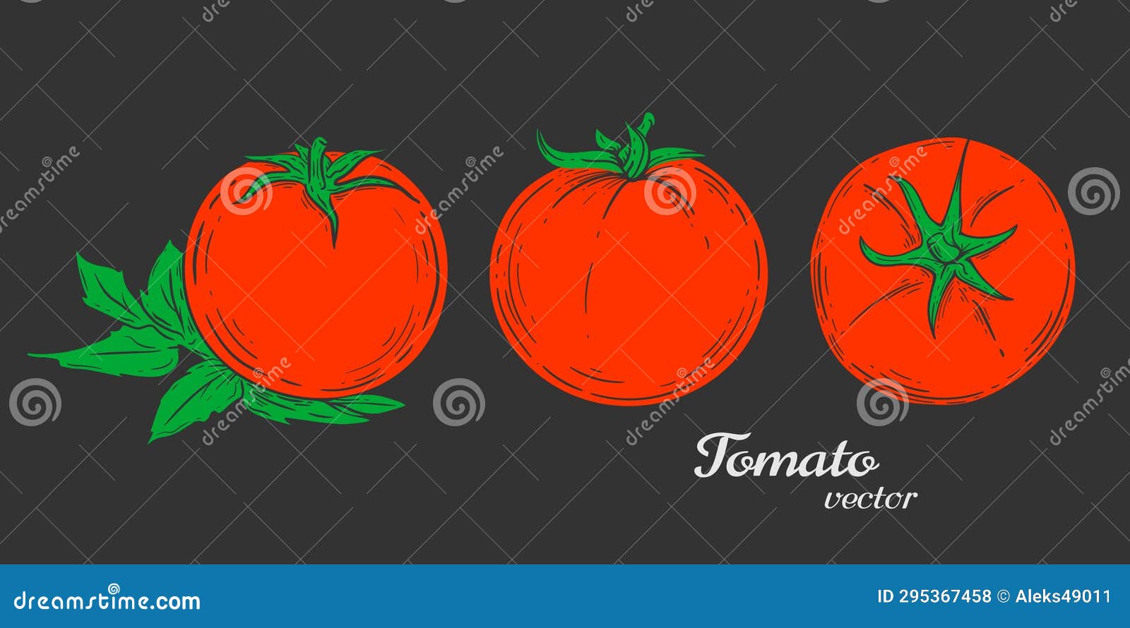 Tomato Drawing. Isolated Tomato And Sliced Piece. Vector Illustration ...
