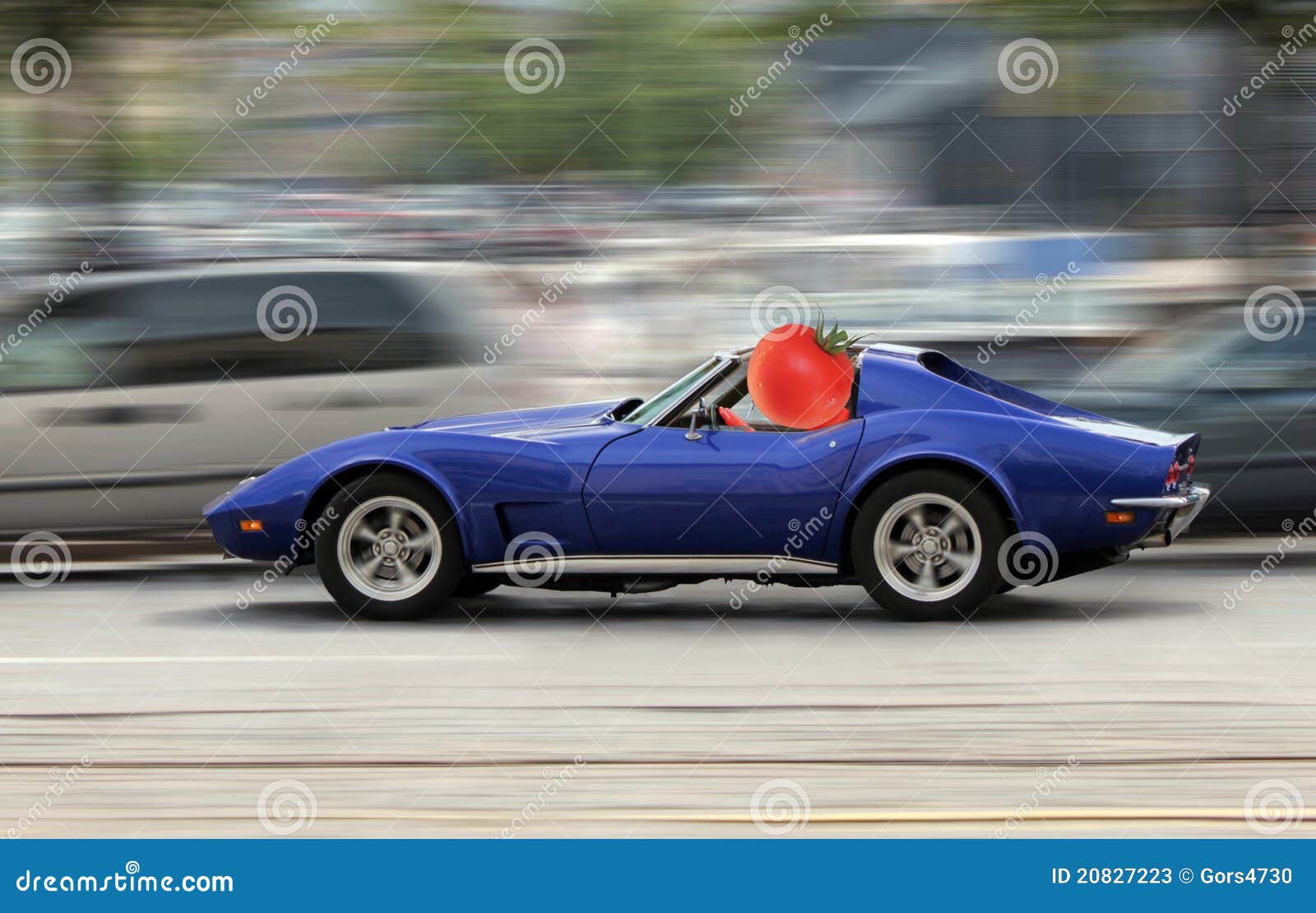 Tomato drives car stock image. Image of profile, natural - 20827223