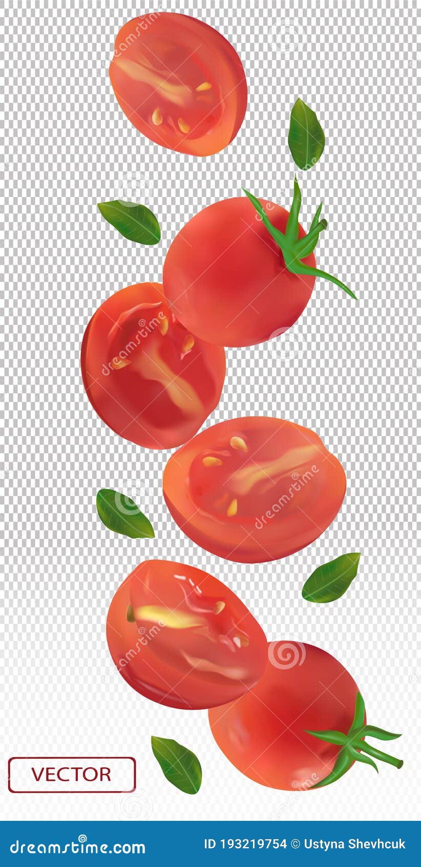 Tomato Falling from Different Angles. Flying Tomato with Green Leaf on ...