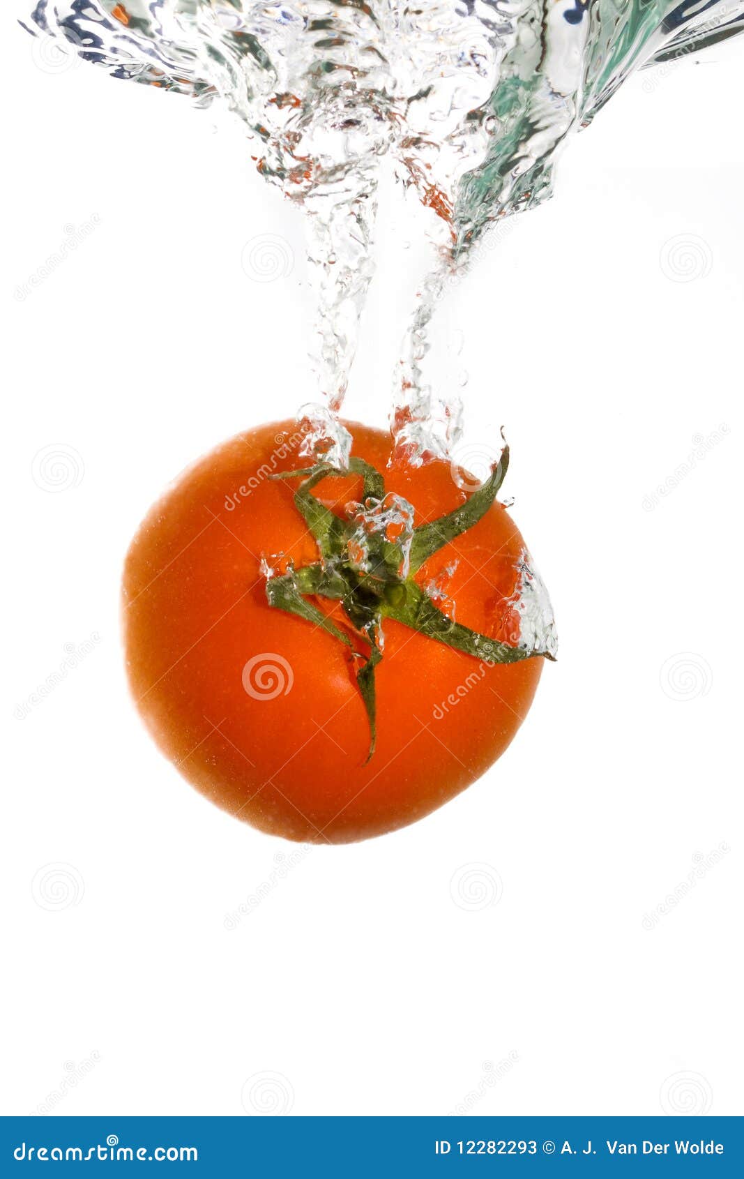 A tomato falling in water stock image. Image of fresh - 12282293