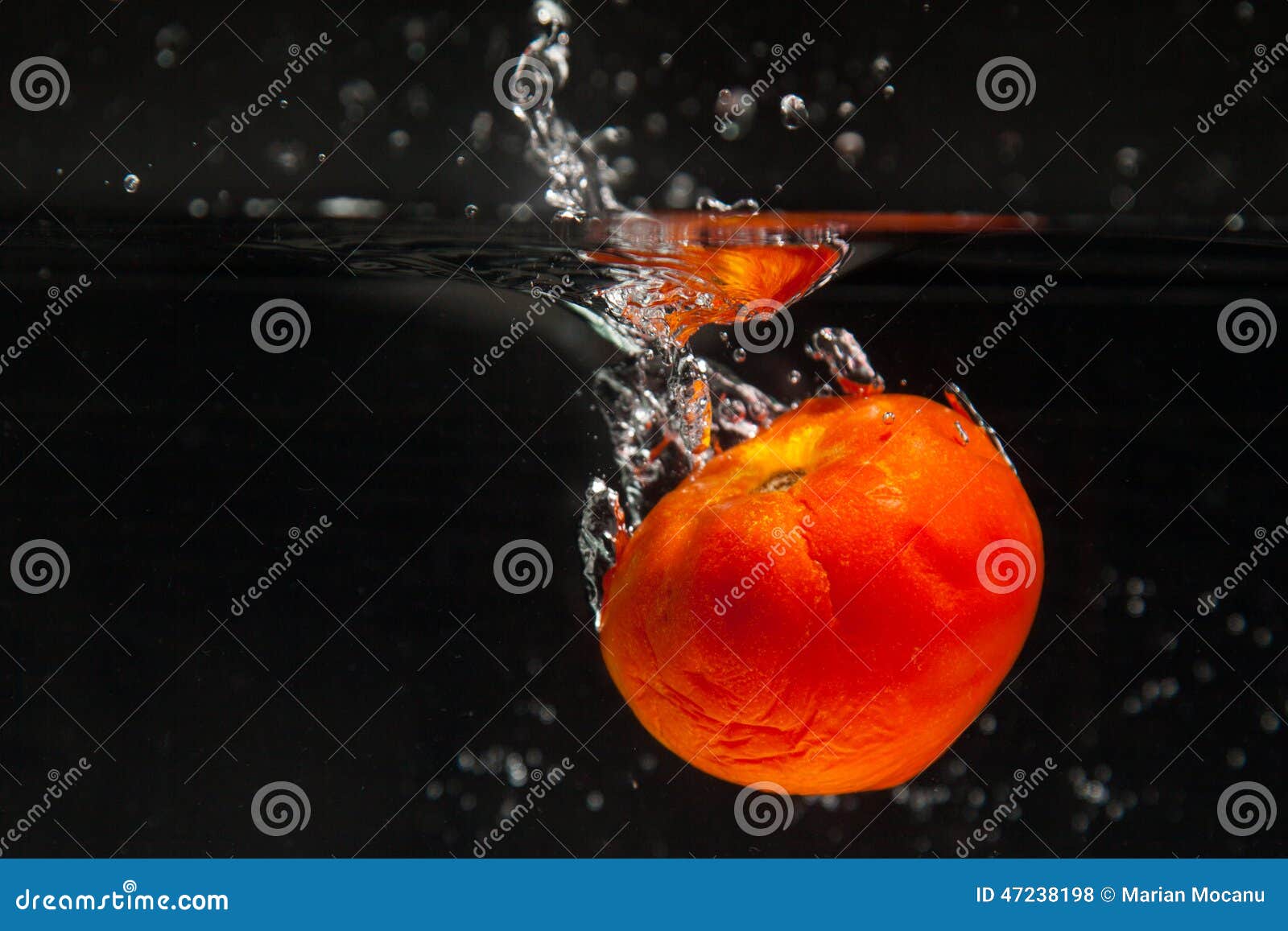 Tomato falling in water stock photo. Image of healthy - 47238198