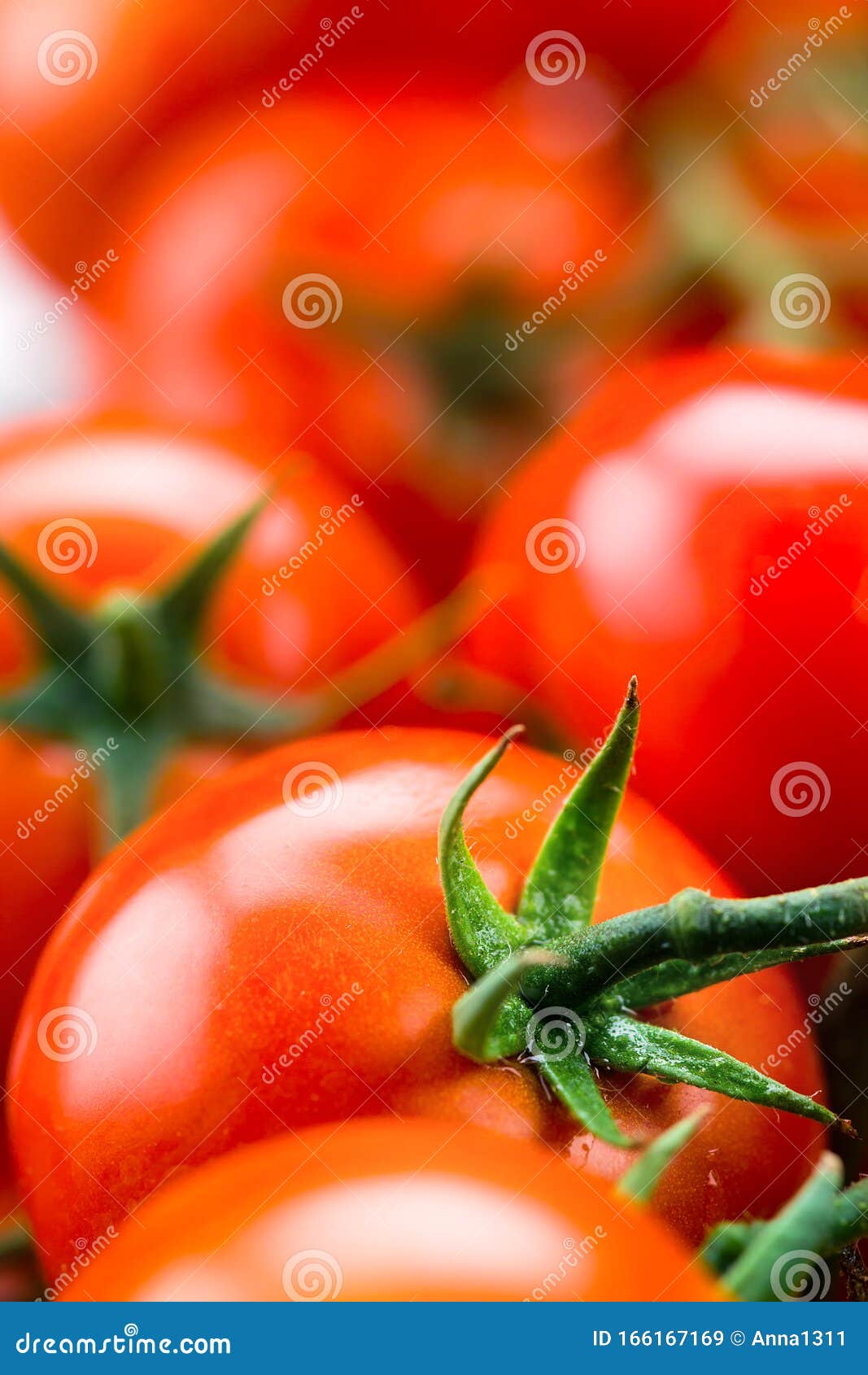 Tomato - Food Pyramid Stock Photography | CartoonDealer.com #2090306