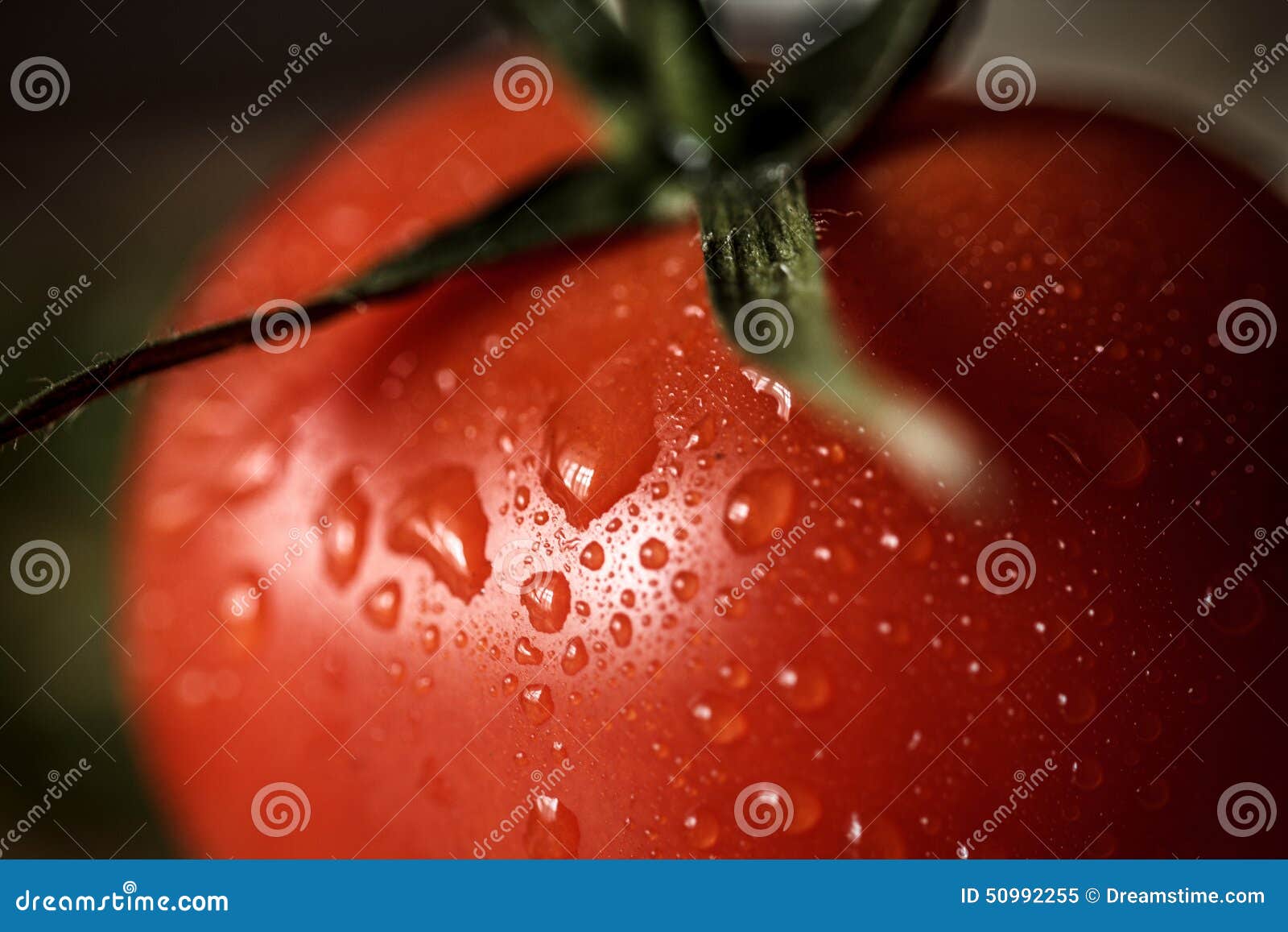 Tomato stock image. Image of tomato, fresh, drop, kitchen - 50992255