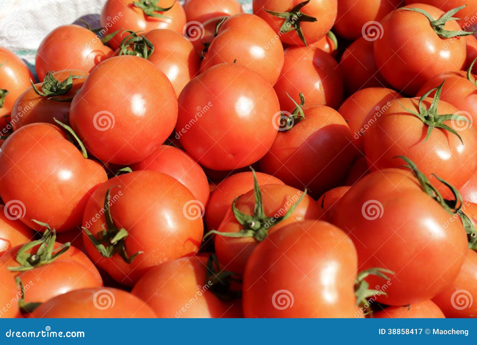 Tomato stock image. Image of closeup, cuisine, ingredient - 38858417