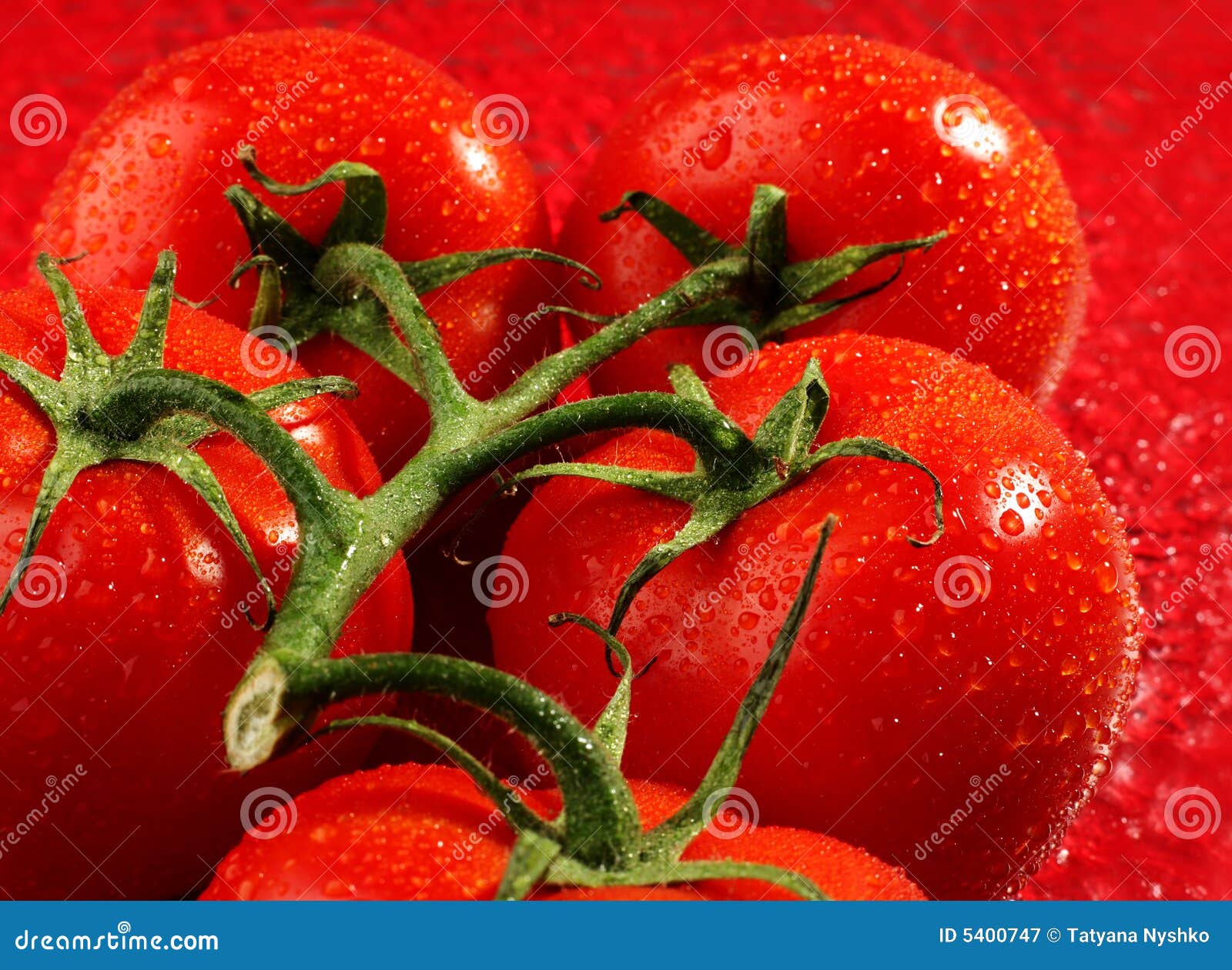 Tomato fruit stock image. Image of water, cherry, object - 5400747