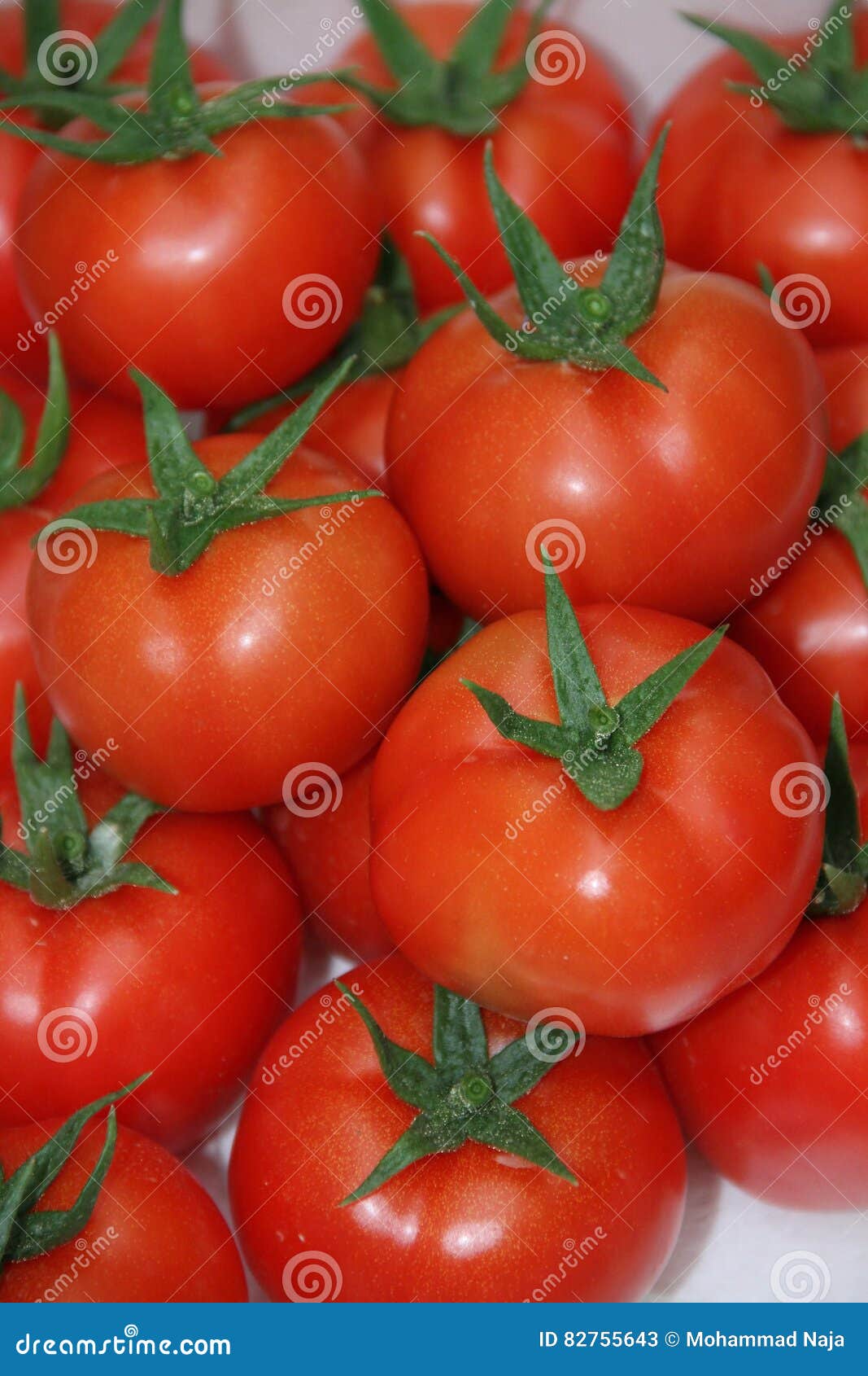 Tomato fruits stock image. Image of roundtomato, sweet - 82755643