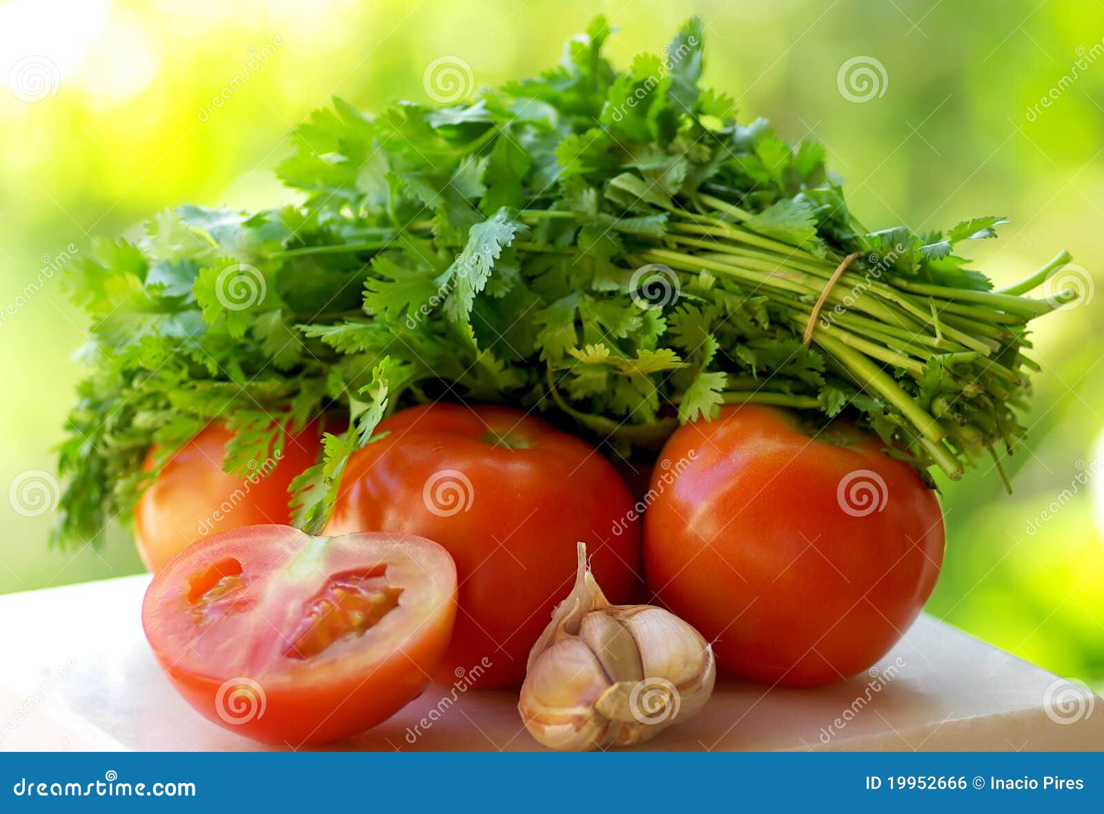 Shimmer Tomato Stock Photos - Free & Royalty-Free Stock Photos from ...