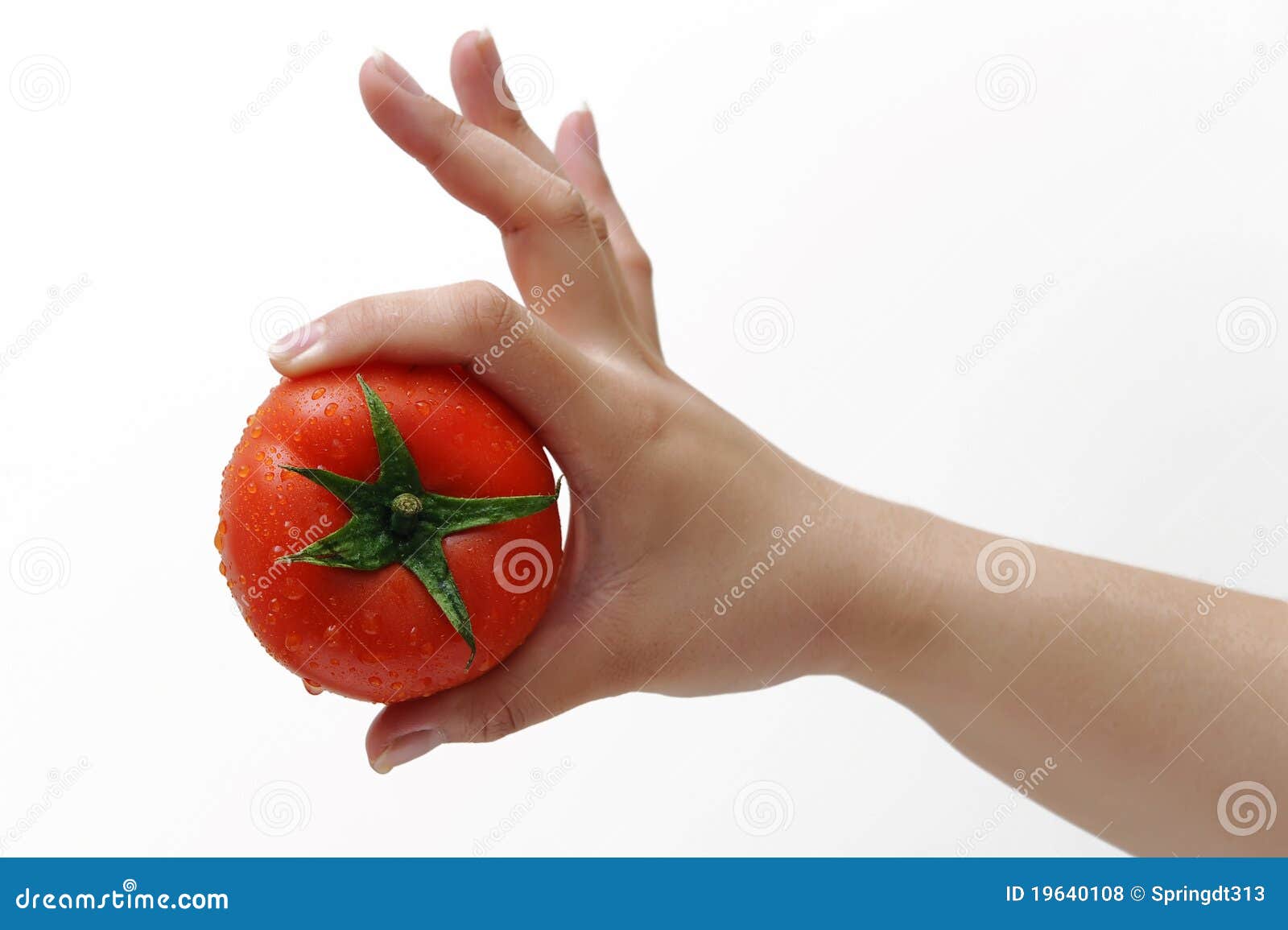 Tomato and hand stock photo. Image of kitchen, medical - 19640108