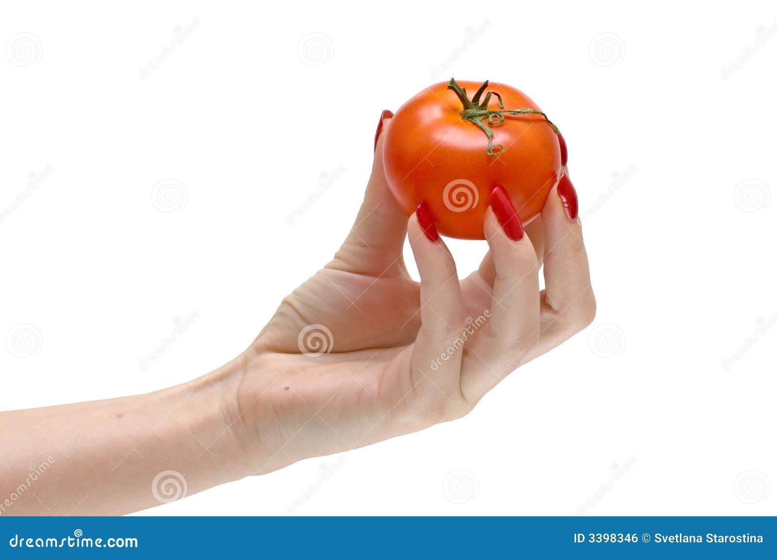 Tomato in hand stock photo. Image of long, adult, nature - 3398346