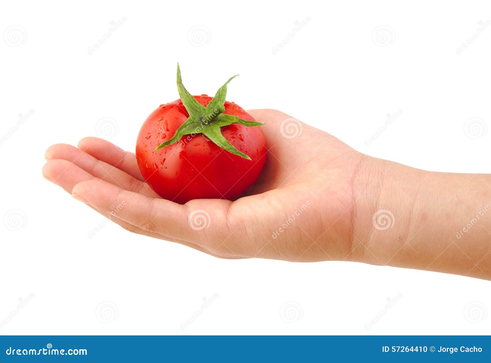 Tomato in Hand Isolated on a White Background Stock Photo - Image of ...