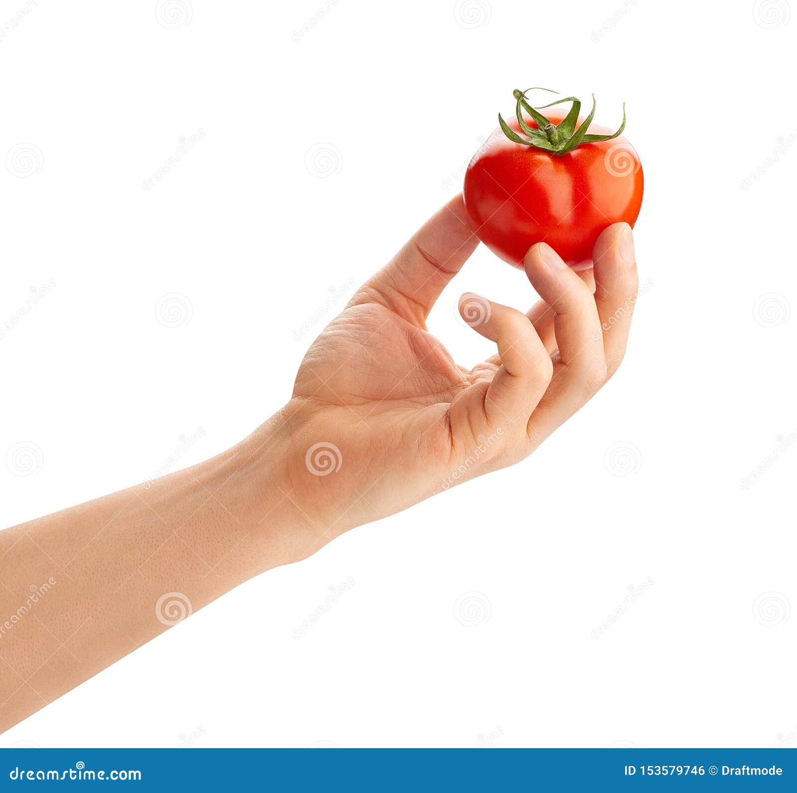 Tomato in hand stock photo. Image of fresh, ripe, healthy - 153579746