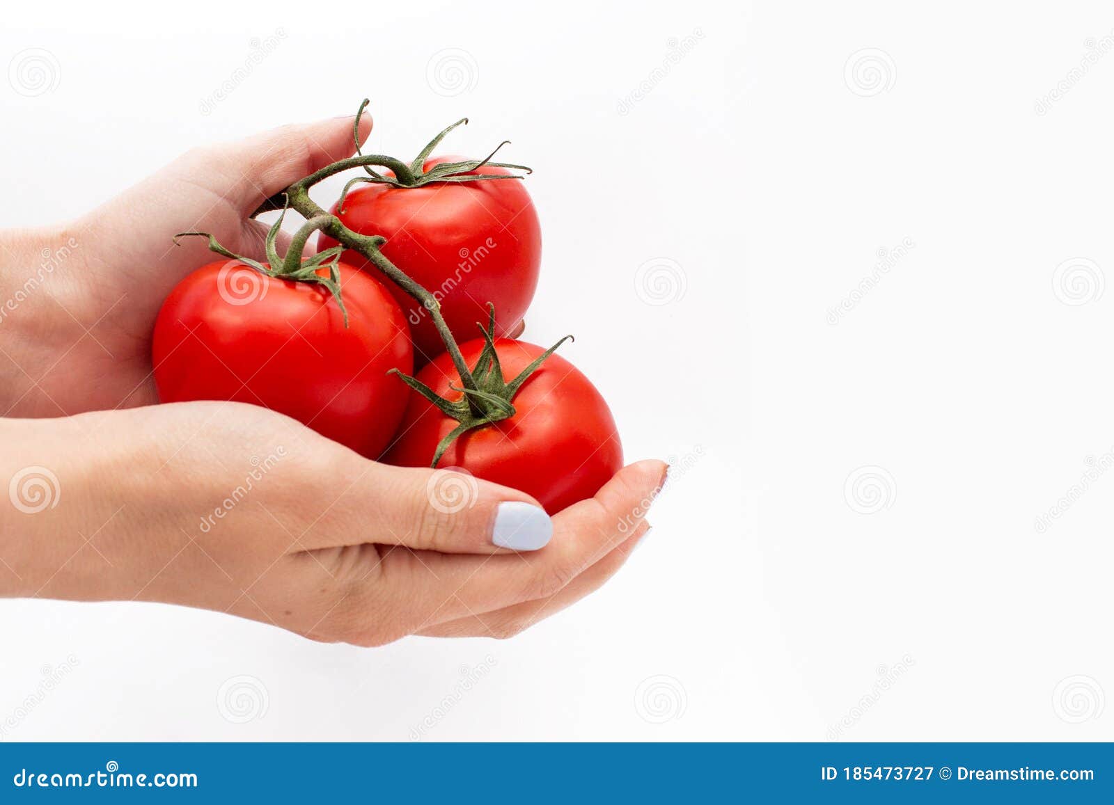 Tomato in Hand Pattern on a White Background Isolation Stock Image ...