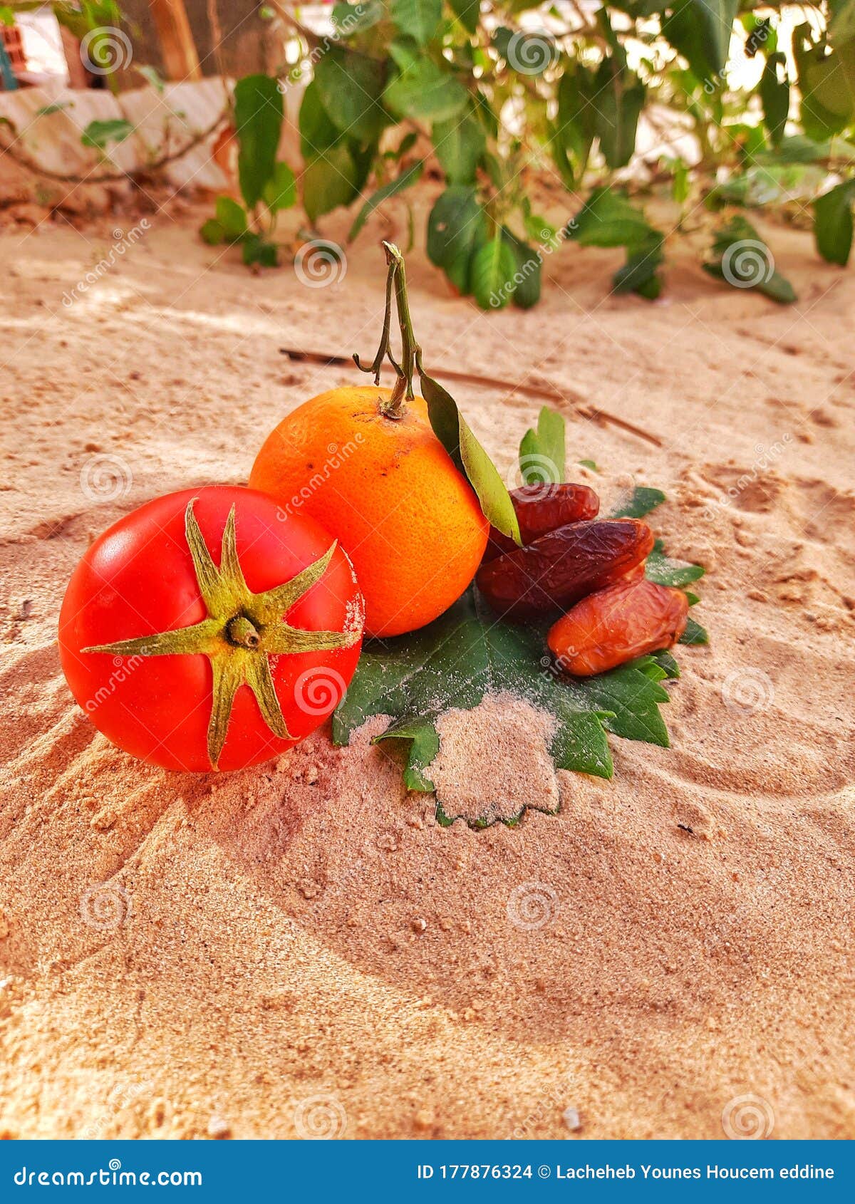 Tomato and Healthy Fruits in Sand Stock Photo - Image of eating ...