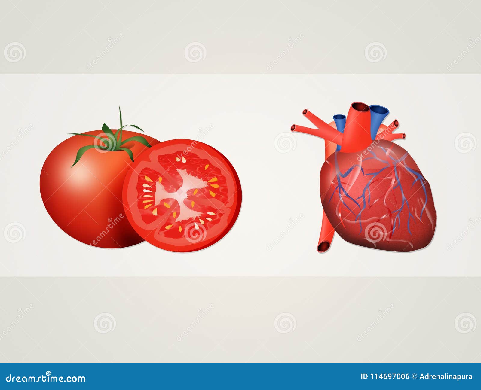 Tomato and heart benefits stock illustration. Illustration of medicine ...