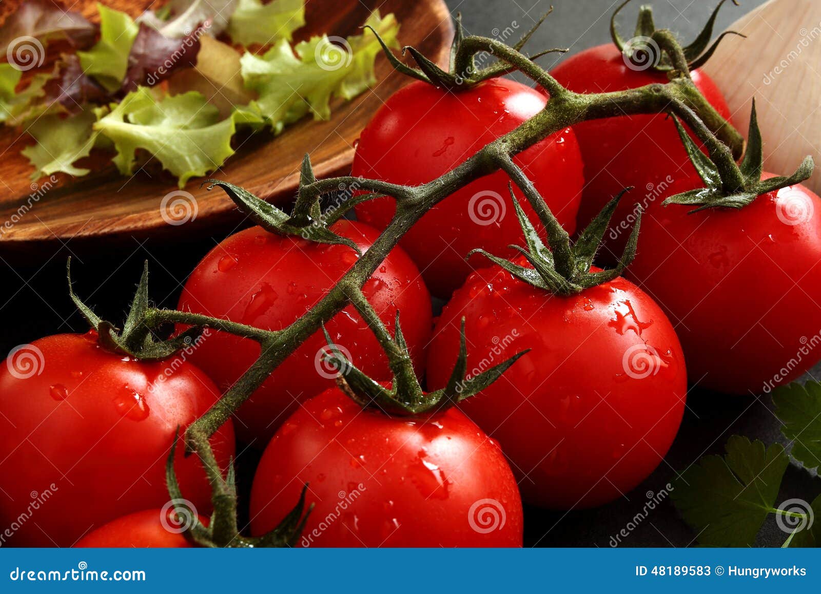 Tomato stock image. Image of dieting, light, ingredients - 48189583