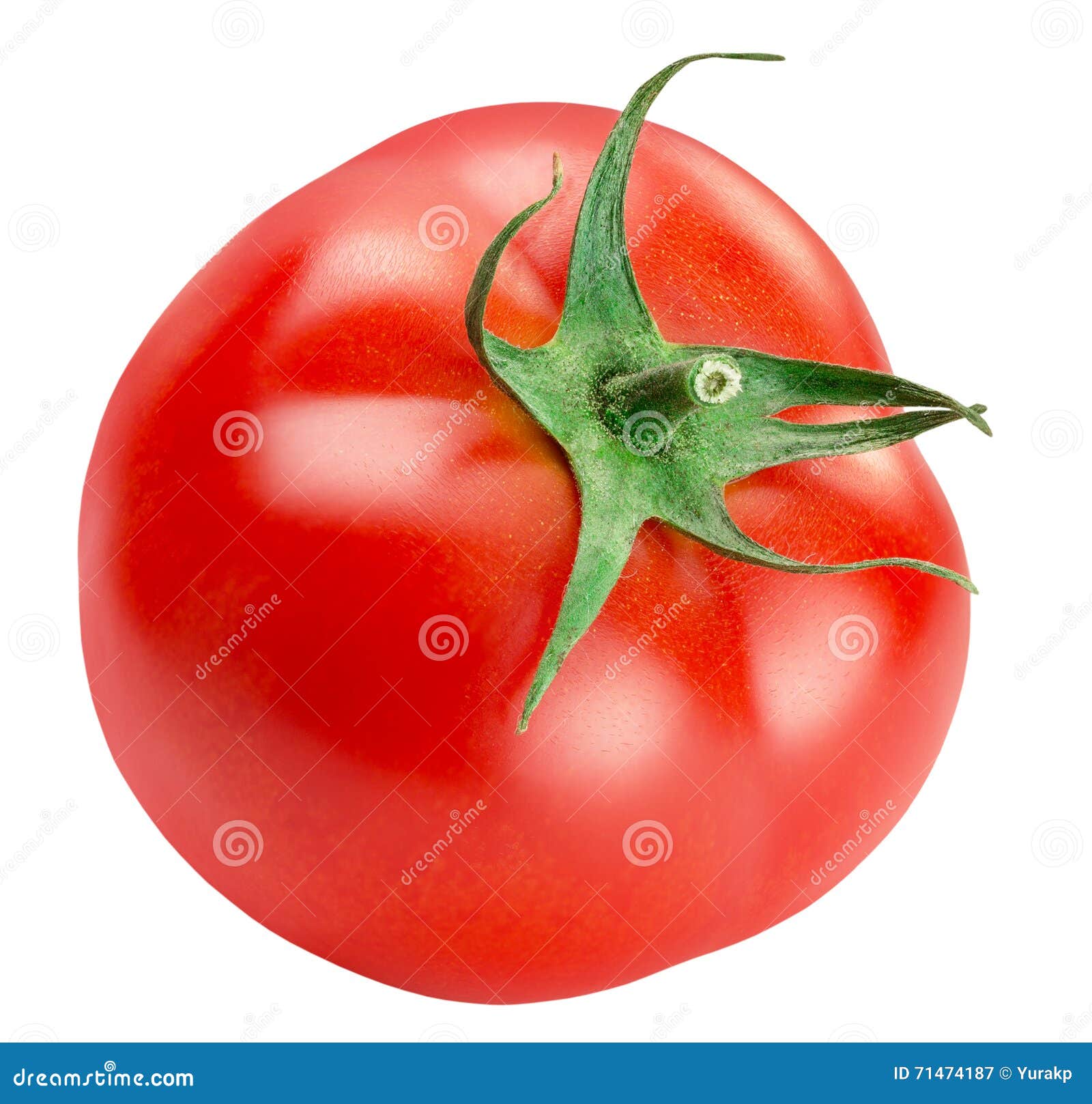 Tomato Isolated on a White Background Stock Image - Image of healthy ...