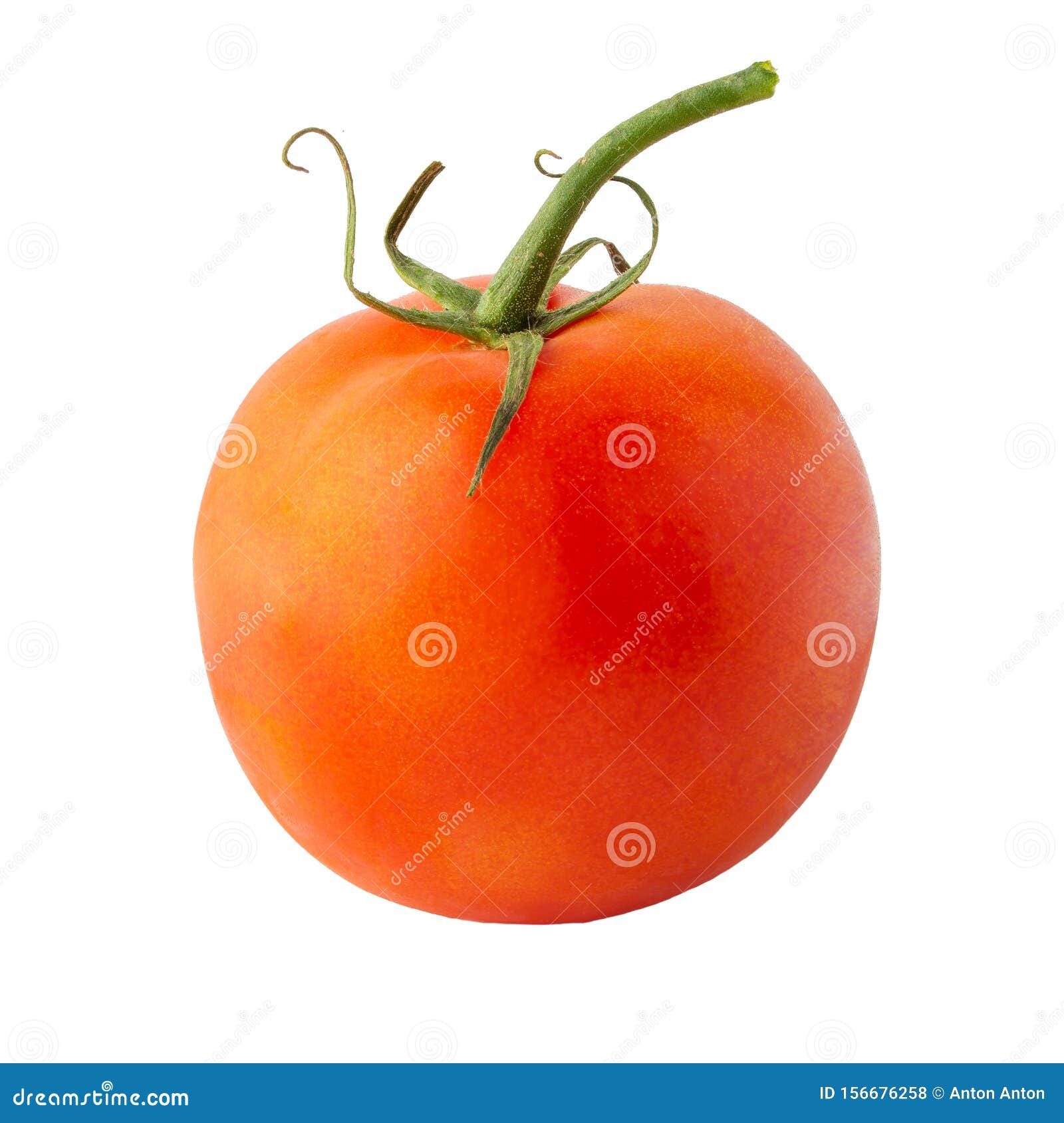308 Poison Tomato Photos - Free & Royalty-Free Stock Photos from Dreamstime