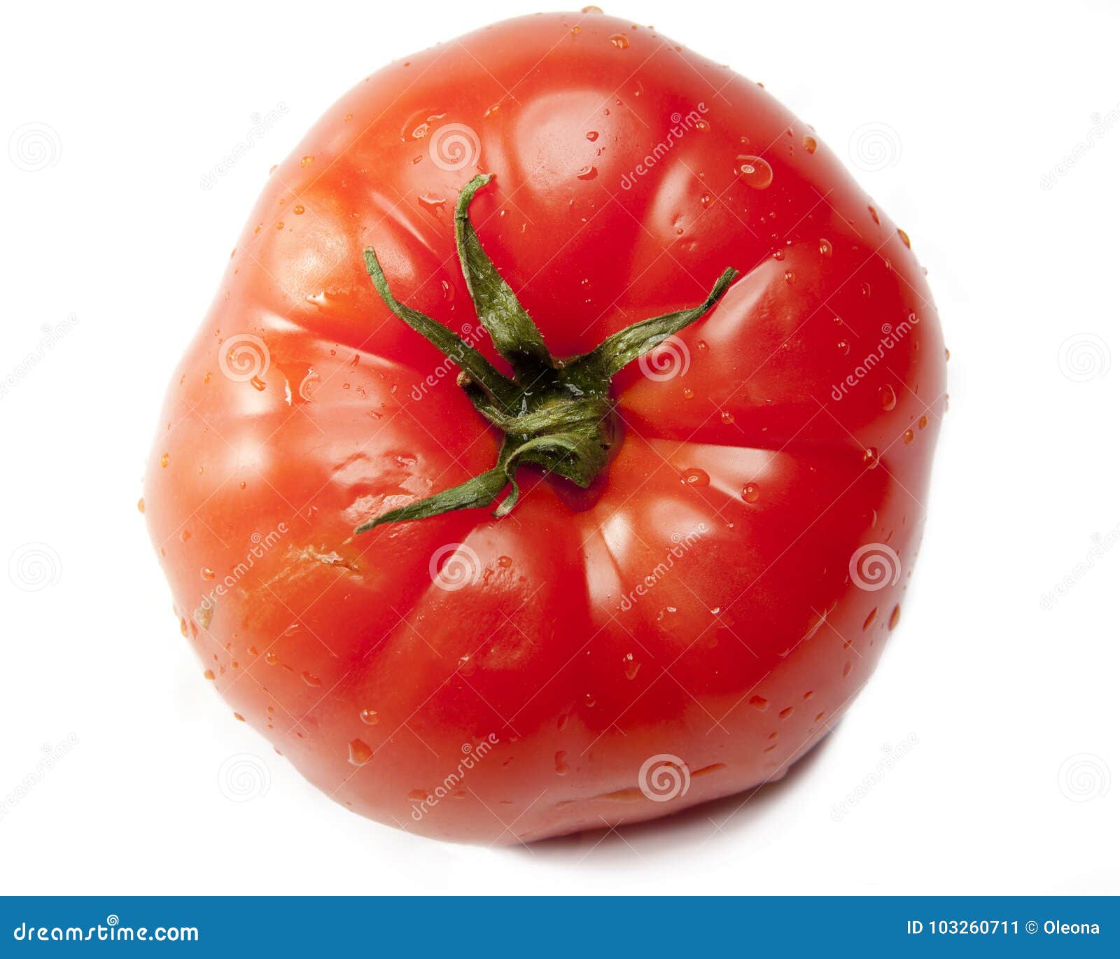 Tomato large stock image. Image of strong, plant, cultivate - 103260711