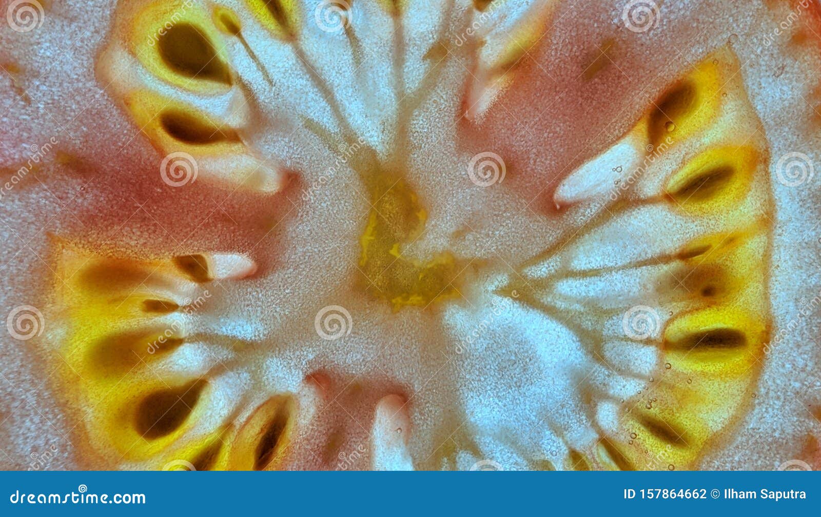 Tomato Macro Texture Background and Wallpaper Stock Photo - Image of ...