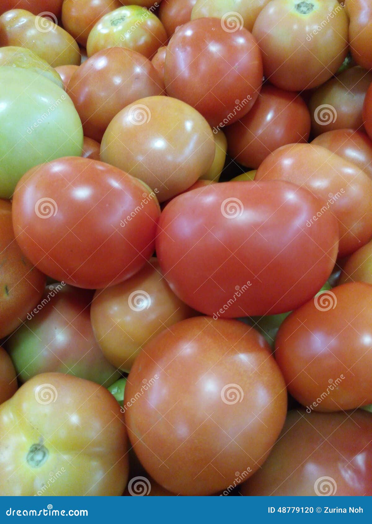Tomato stock photo. Image of market, salad, tomato, fresh - 48779120
