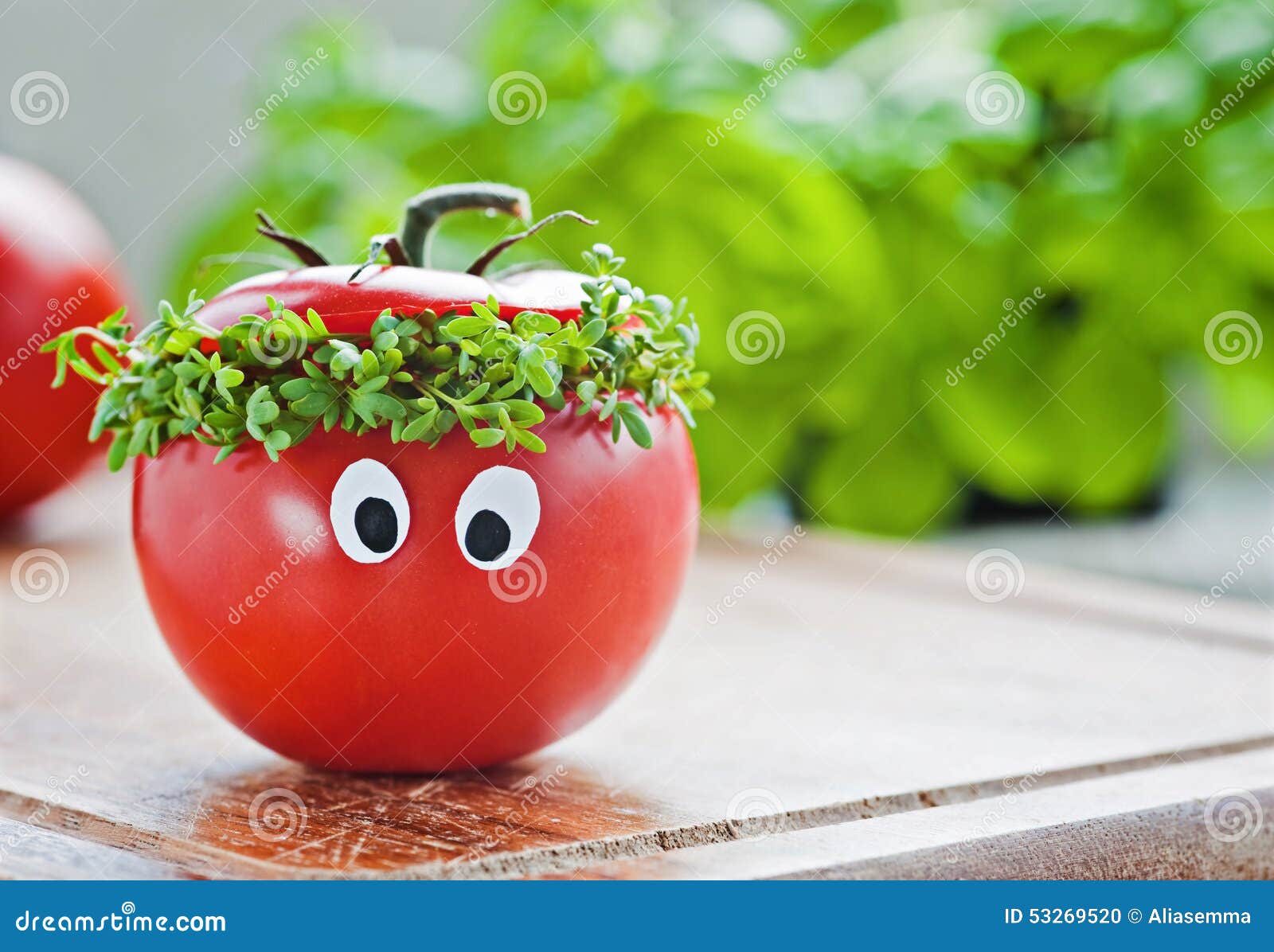Tomato man stock photo. Image of balanced, cress, cooking - 53269520