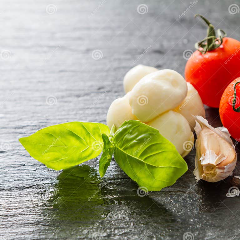 Tomato mazzarella, basil stock image. Image of dish, mozzarella - 61896119