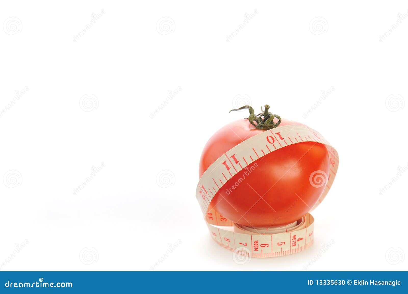 Tomato with meter stock photo. Image of vegetables, nature - 13335630