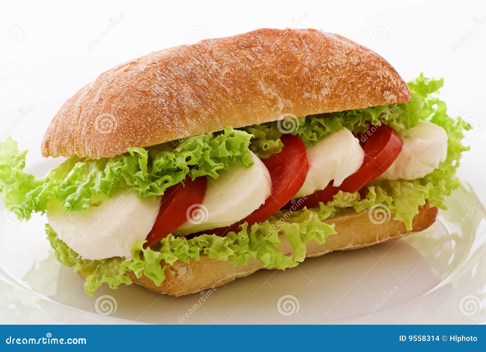 Tomato Mozzarella Sandwich stock photo. Image of lettuce - 9558314