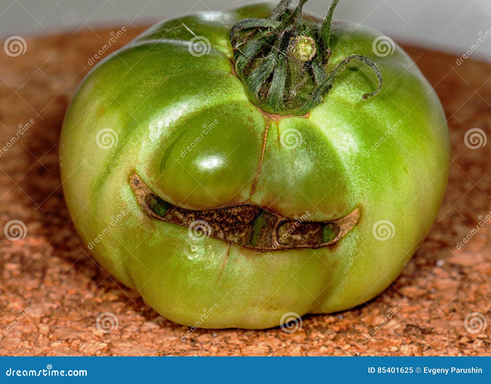 Tomato Mutant Tomato Mutant Custom Type on the Table Stock Image ...